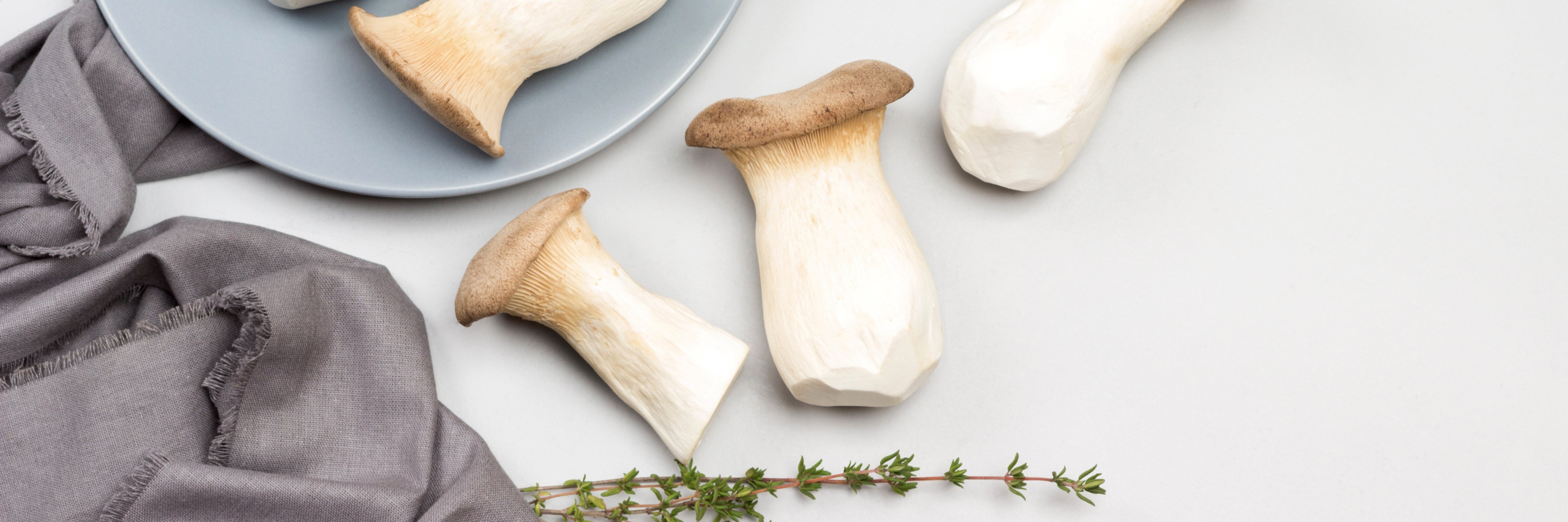 Eryngii – Mush Mantar