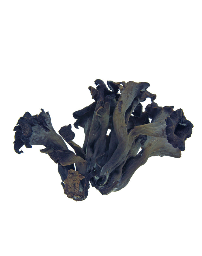 Taze Borazan Mantarı (1000 g) – Mush Mantar